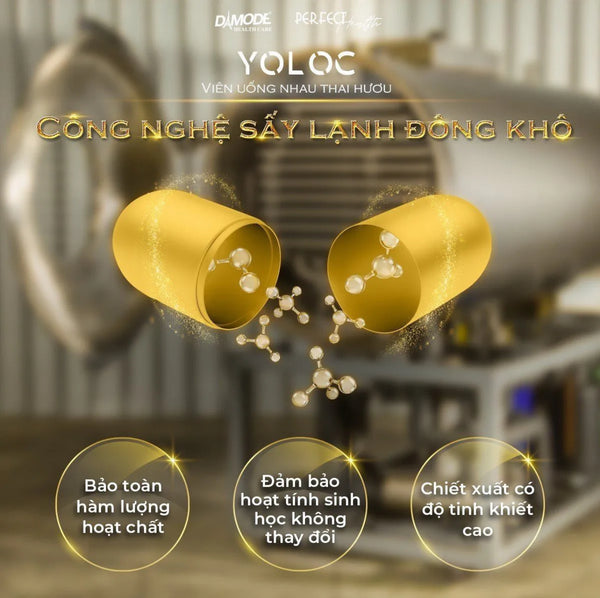 DAMODE YOLOC - 60 Capsules – Damode USA